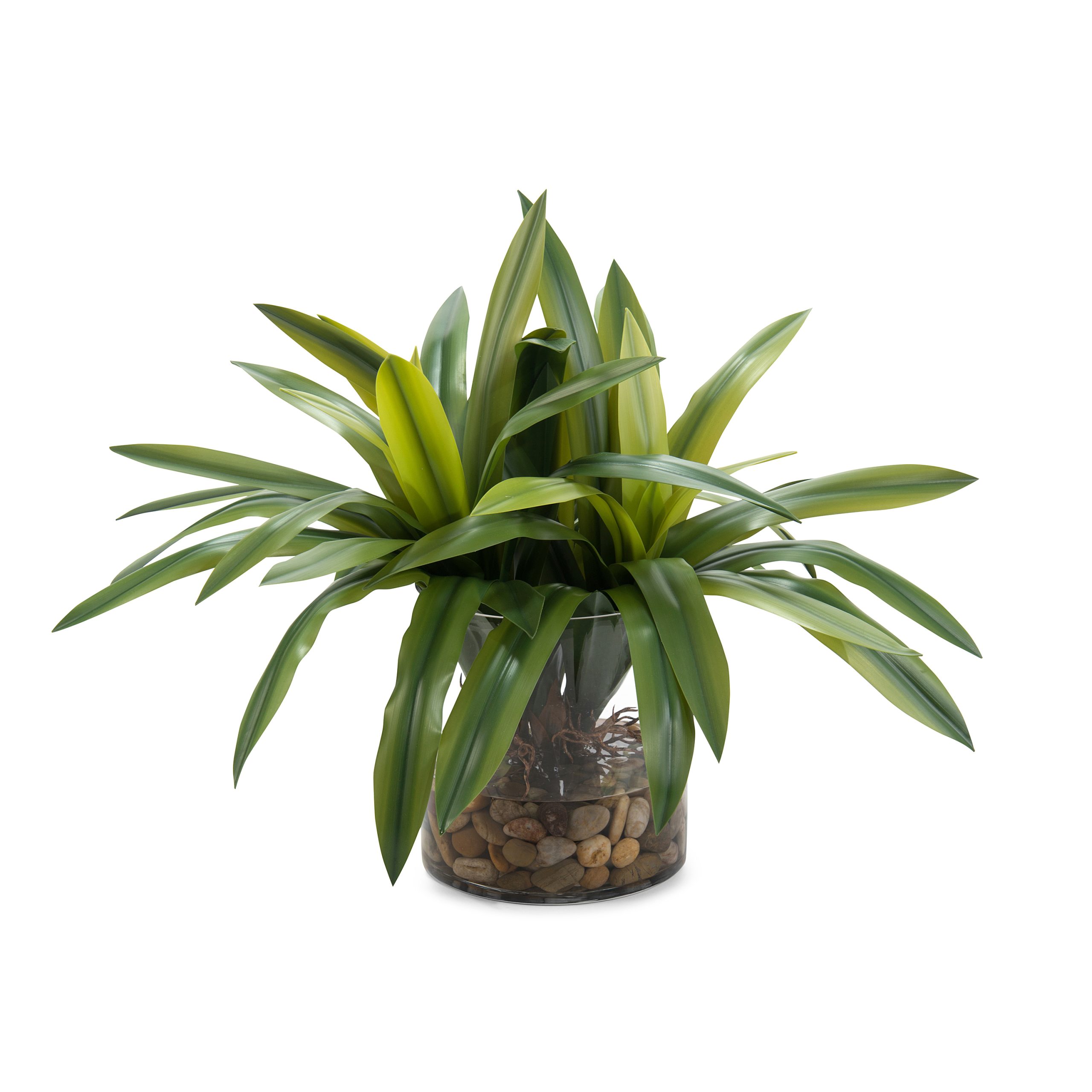 Real Touch Yucca by John Richard | Marc Pridmore Designs